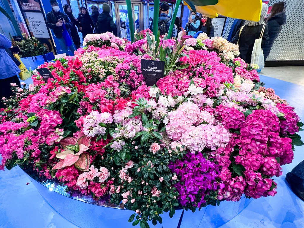 Macy's Flower Show 2023 - Lyssy in the City