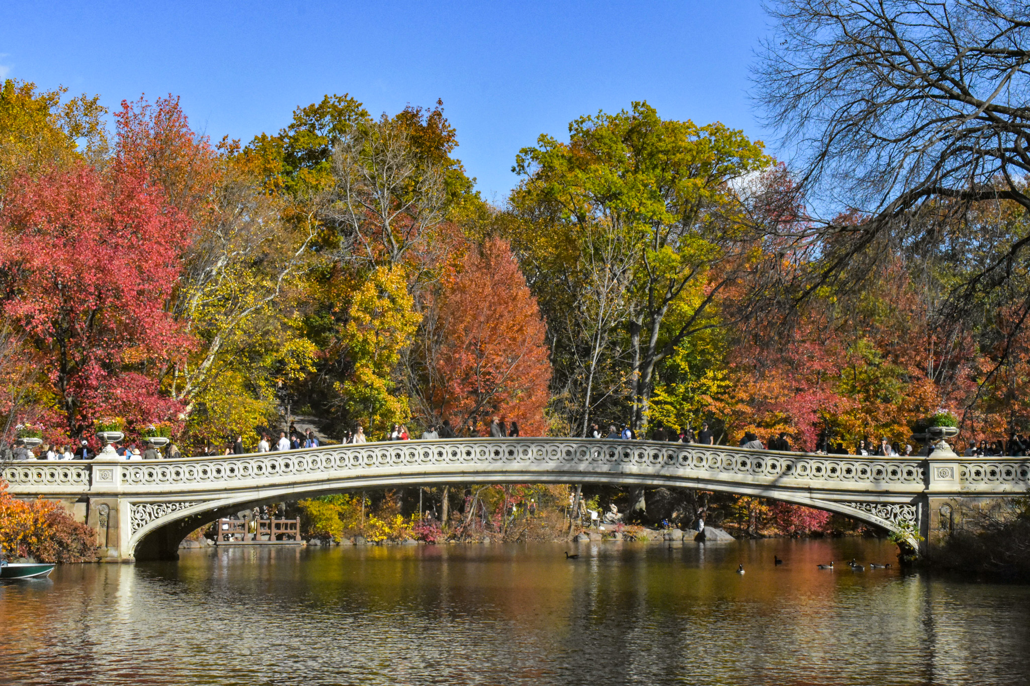 Central Park Fall Foliage Tour 2025 - Lyssy in the City